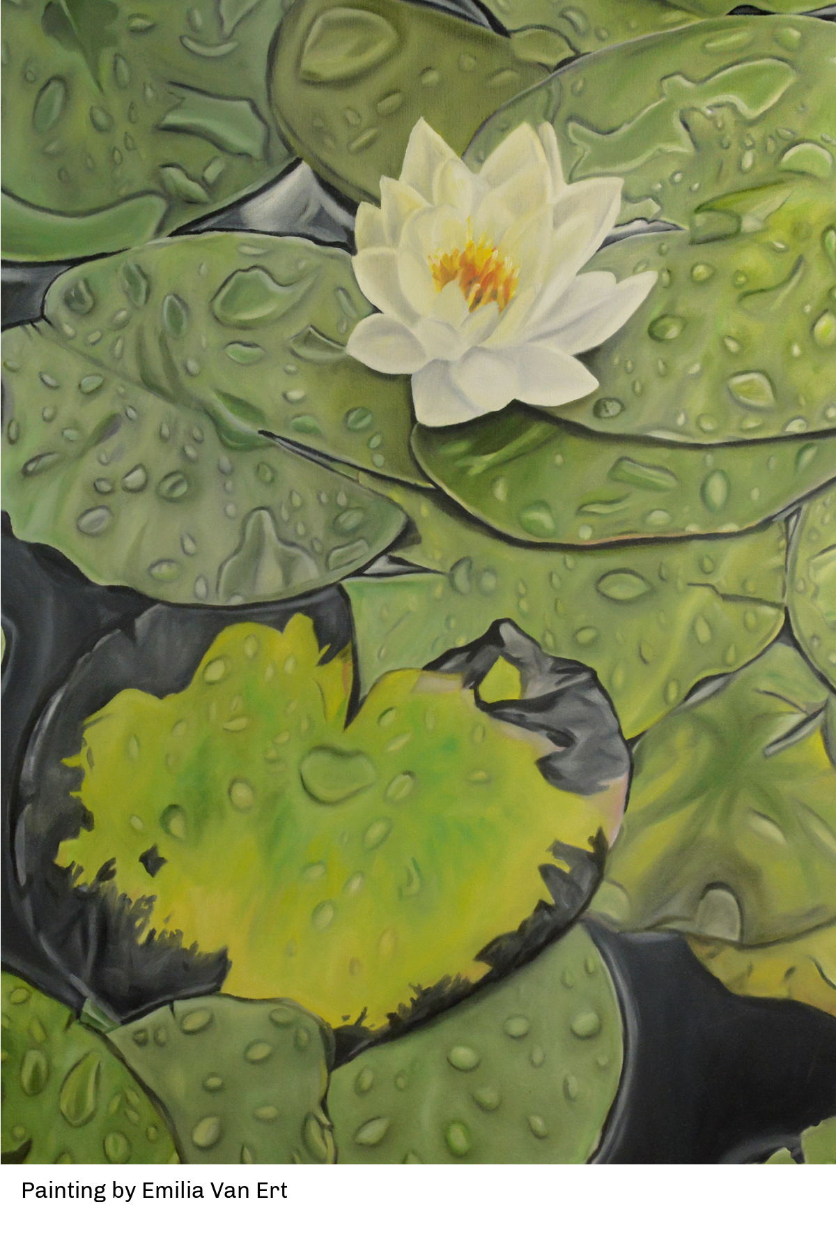 Spring Renewal Art Exhibition – Piper Arts